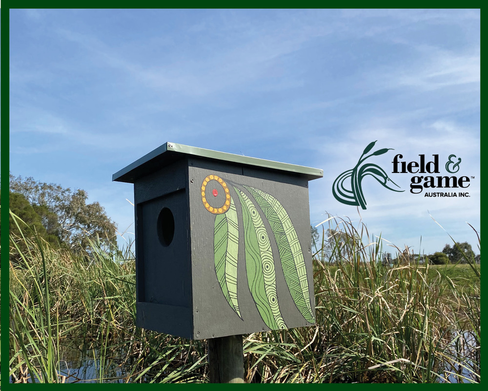 Unity over Division!