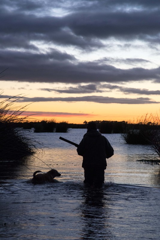 A heartfelt "thank-you" to the Labor members who voted to retain duck ...