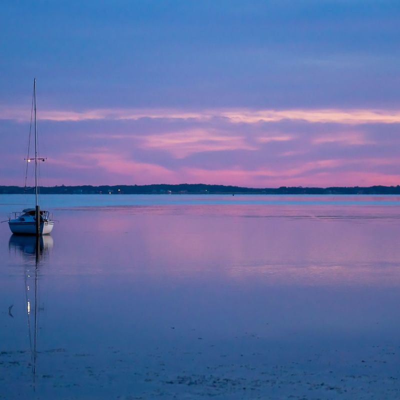 Counting on You: Take Action to Save Our Sounds